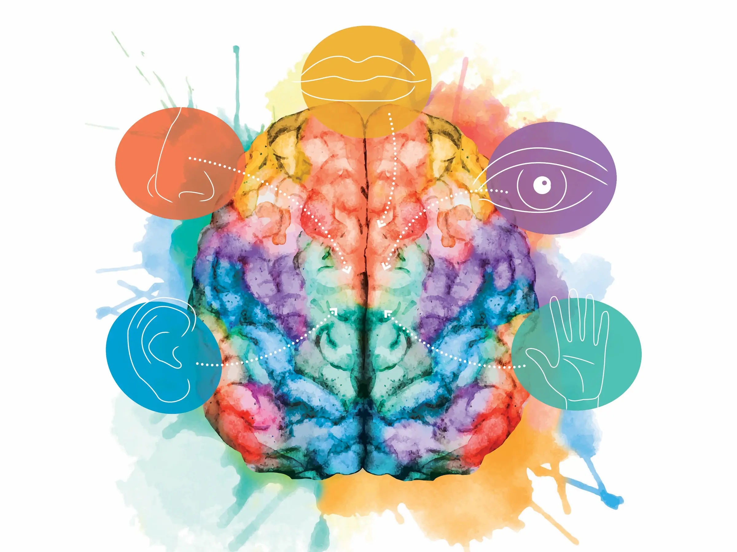 Inzet autisme consulent - ORO